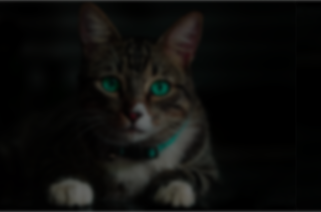 VX LED Panels - RECIENCE | XR Solution